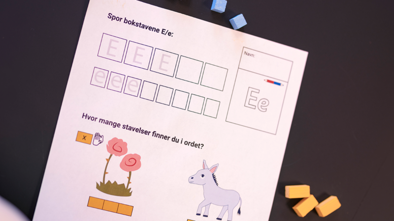 Aski Raski har hjulpet barn og voksne med å lære å lese i over 20 år ...